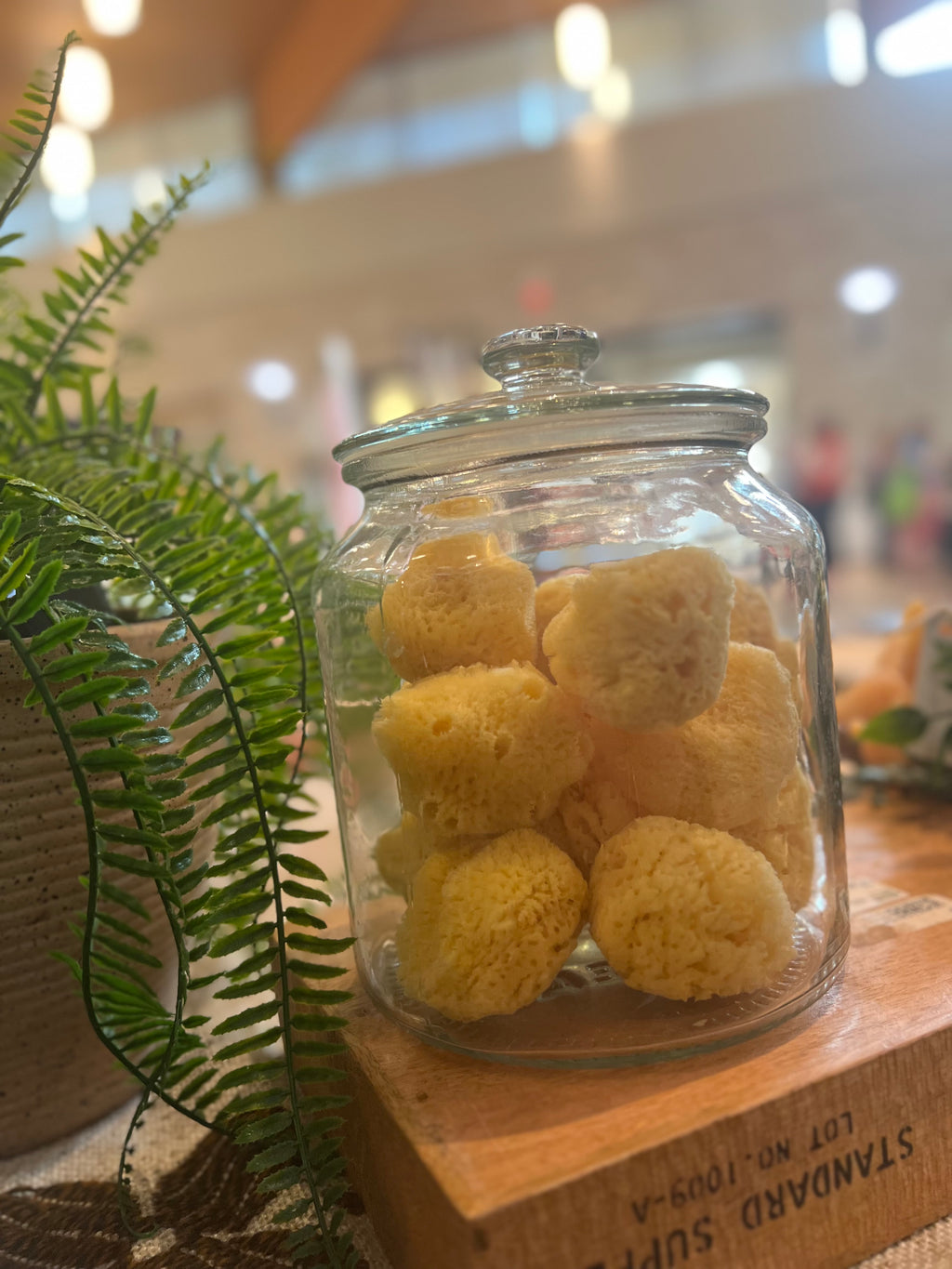 Sea sponge face scrubber – Prairie Fire Soap Co.